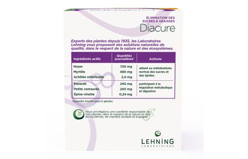 Diacure - Gélules Brûle Graisse Naturel à Base de Plantes